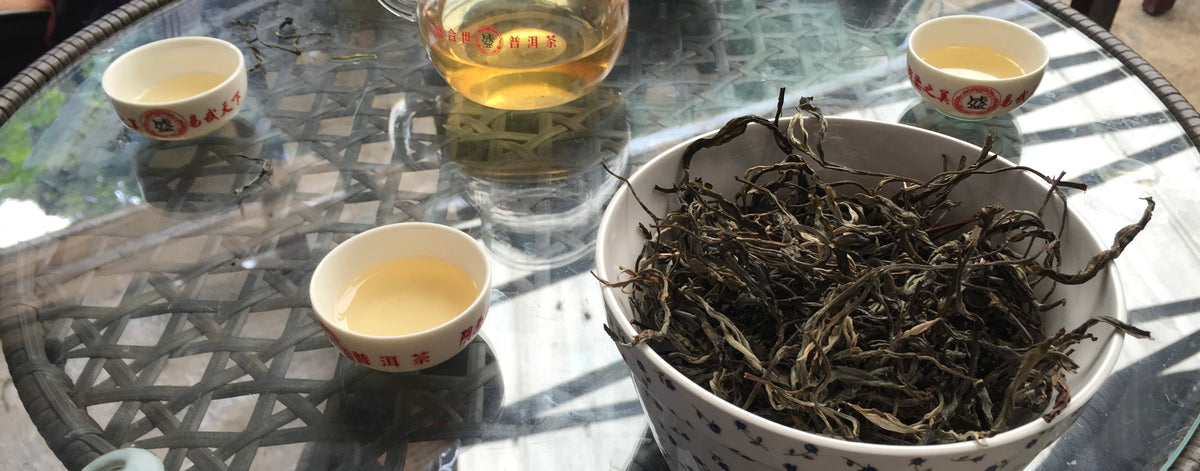 PUER TEA / HEI CHA – BARDO TEA